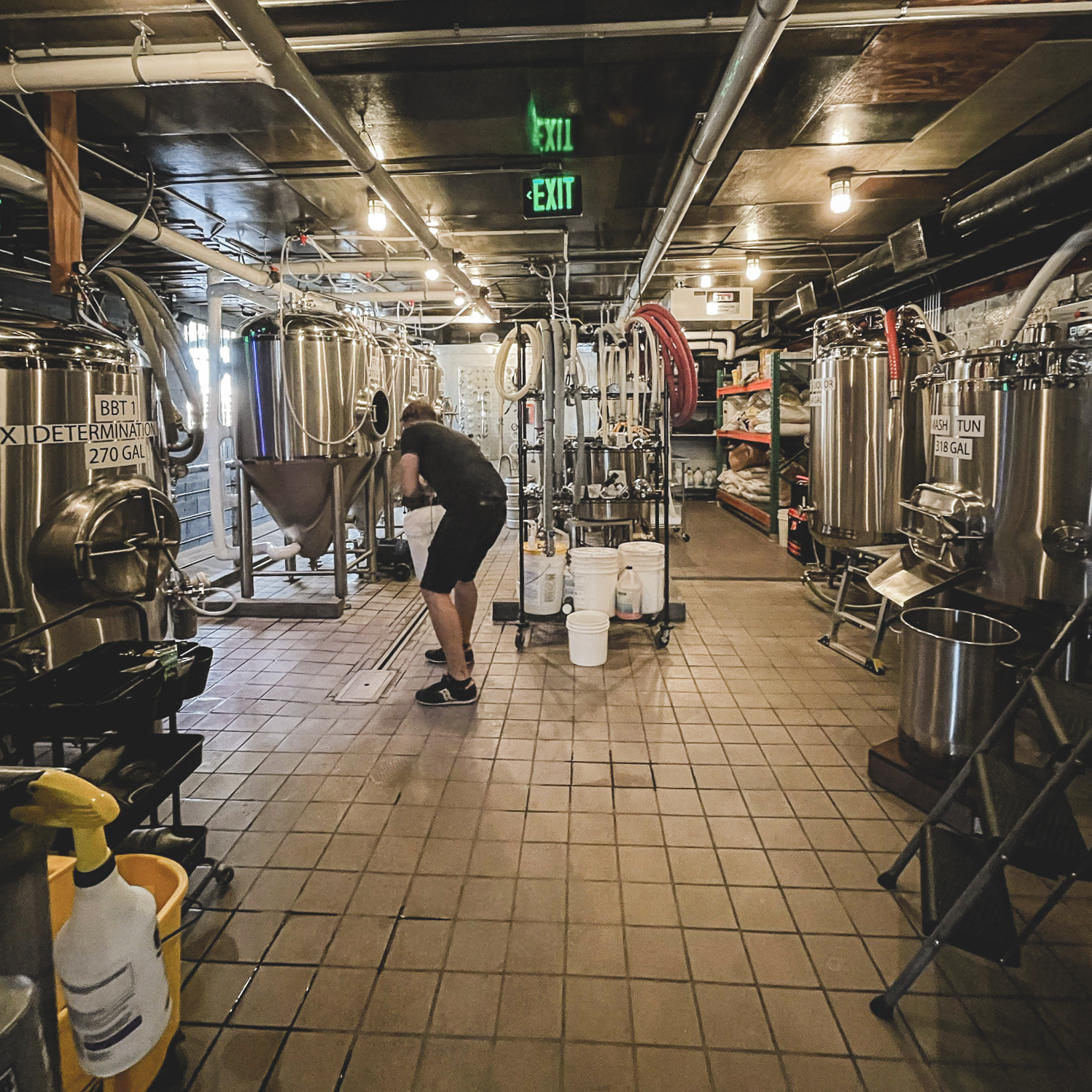 Drinking in a Dystopian Storybook: An Inside Look at Shadow Grove ...