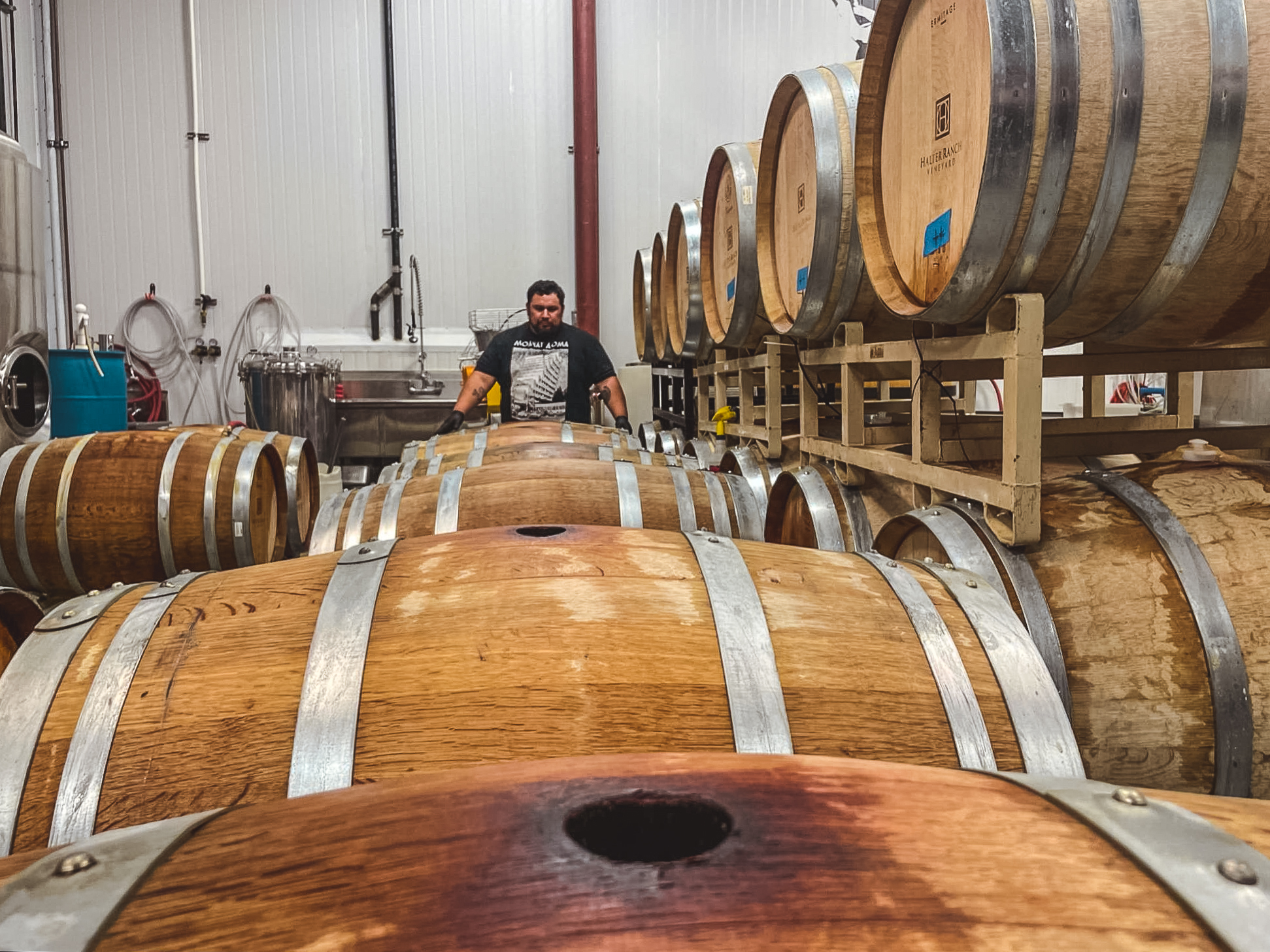 Cellador Ales Reborn, Led by Former Employee | Hopped